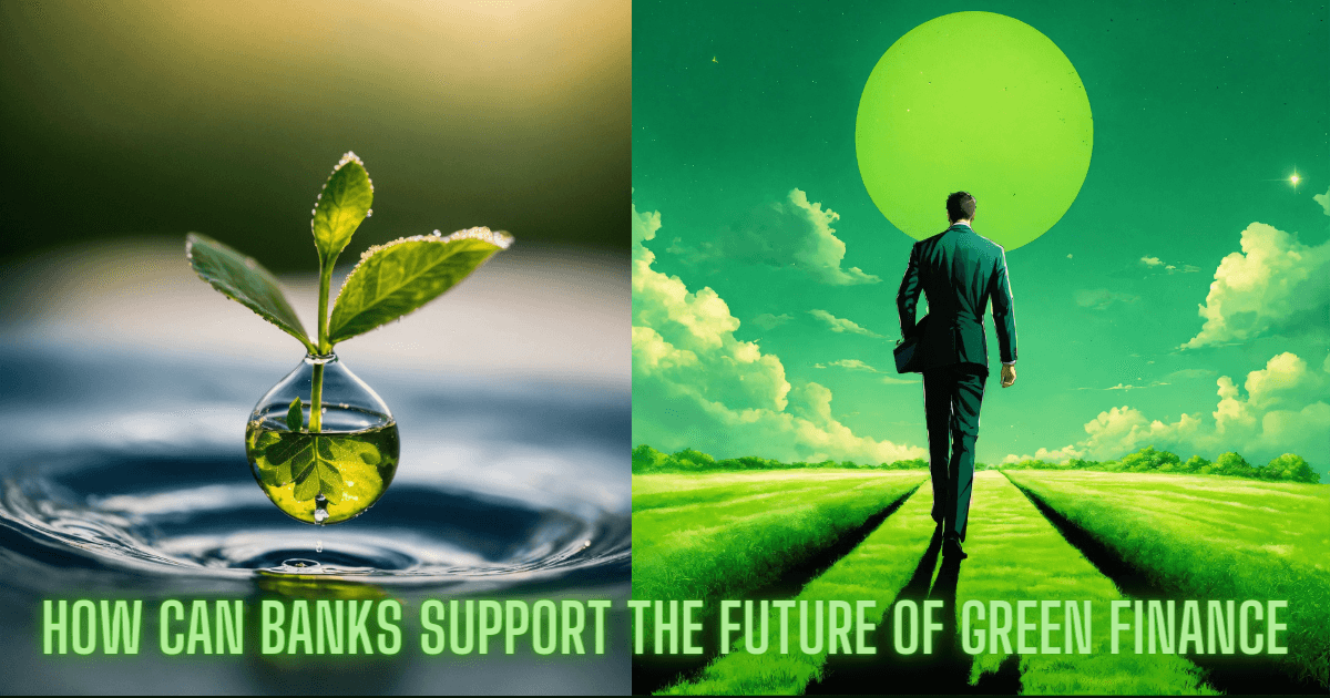 How can Banks Support the Future of Green Finance: Know now