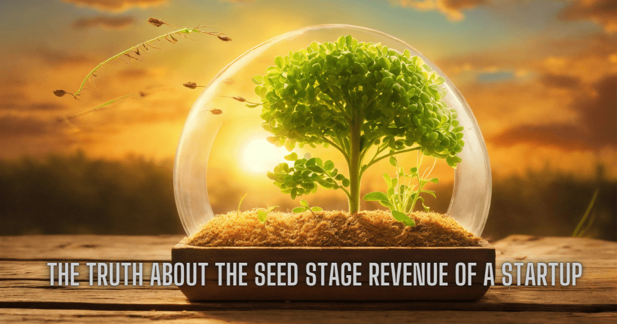 The Truth About the Seed Stage Revenue of a Startup